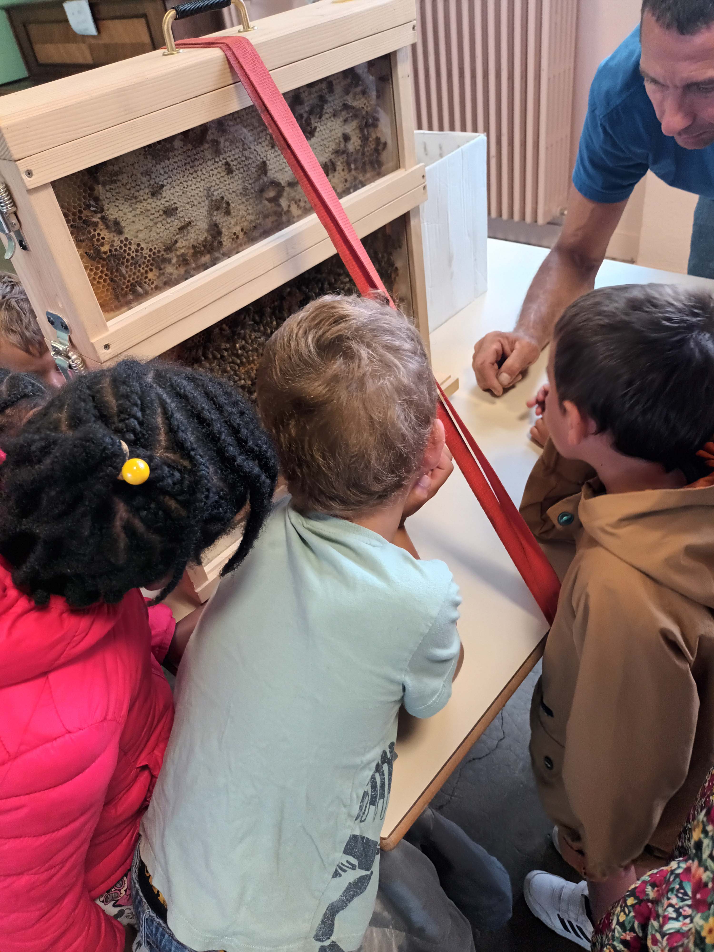 Les enfants de l'accueil de loisirs de Fraisans découvre la vie de la ruche | Jura Nord